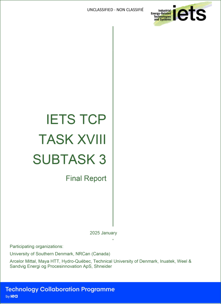 Final Report: Lessons Learned and Created Values by Digitalization | IETS